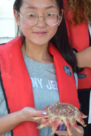 Marine Biology Field Trip 2023 - News - Rochdale Sixth Form College